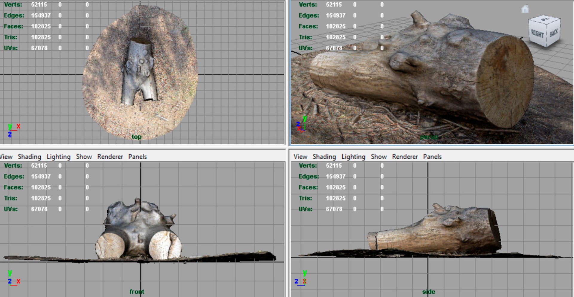 3D model realistic dead trunk - TurboSquid 1161192