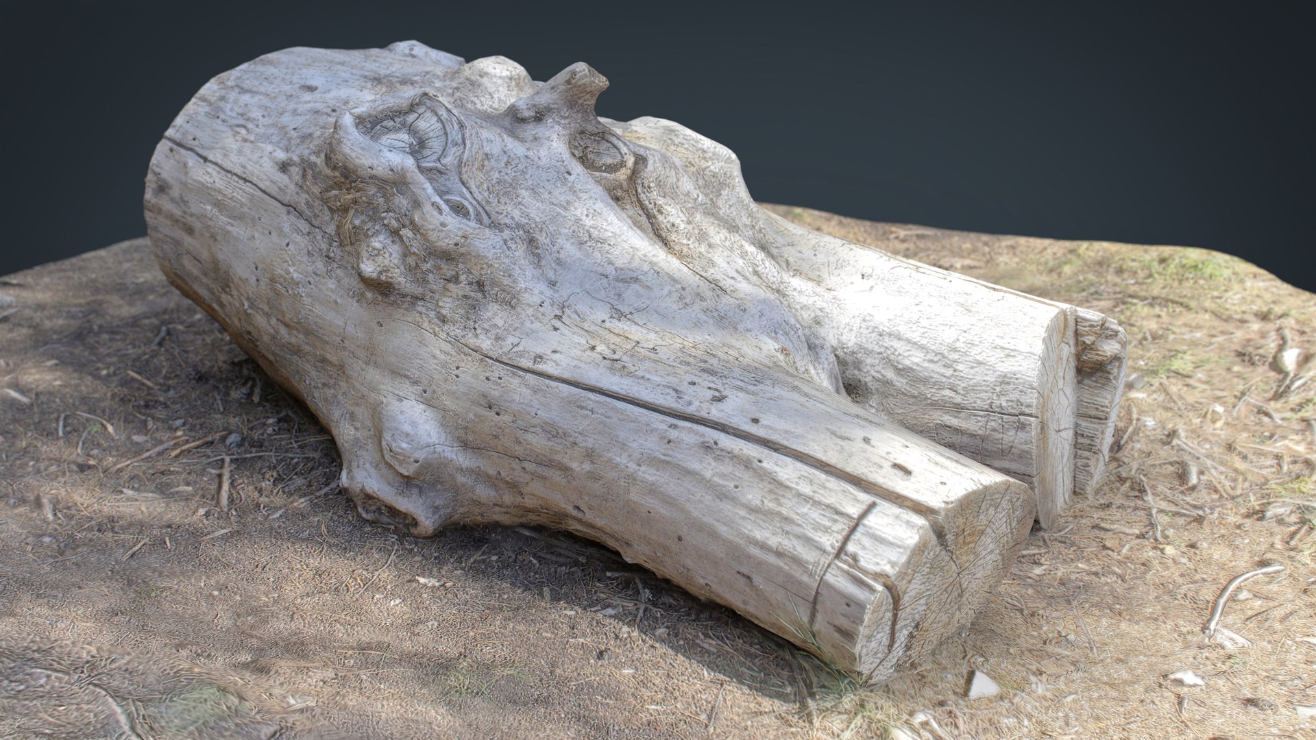 3D model realistic dead trunk - TurboSquid 1161192
