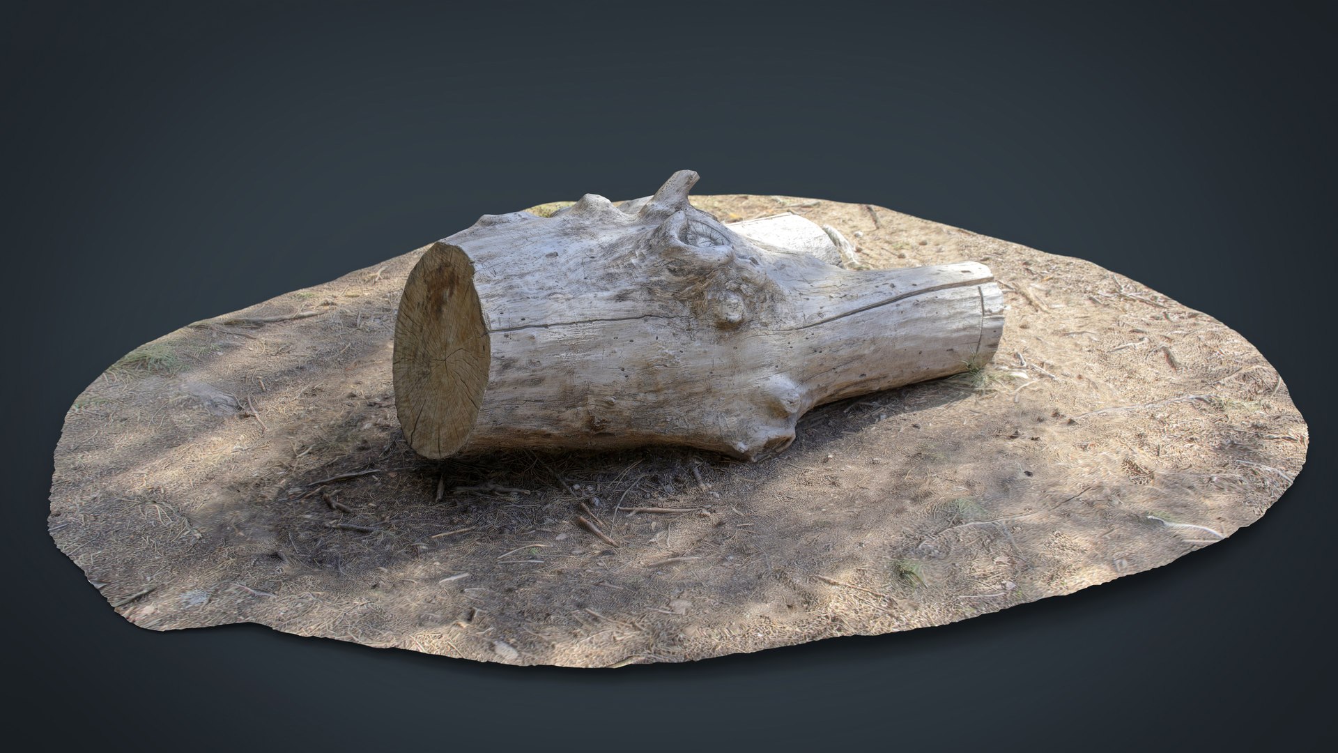 3D model realistic dead trunk - TurboSquid 1161192
