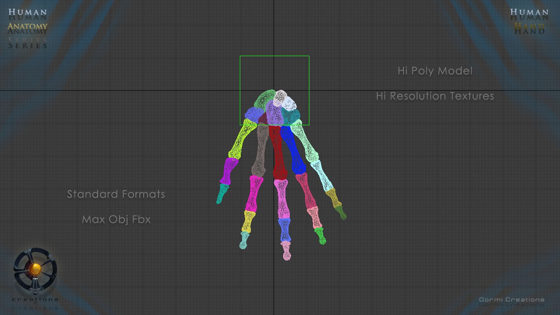 Human Hand Bones 3d Max