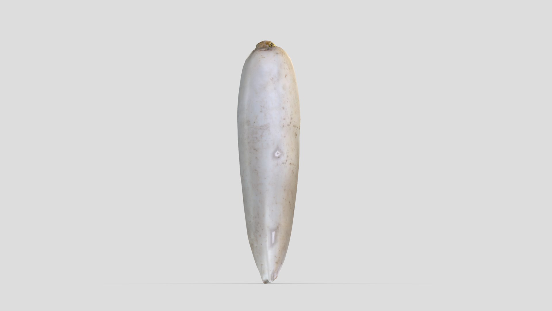 Radish Low Poly 3D - TurboSquid 2251459