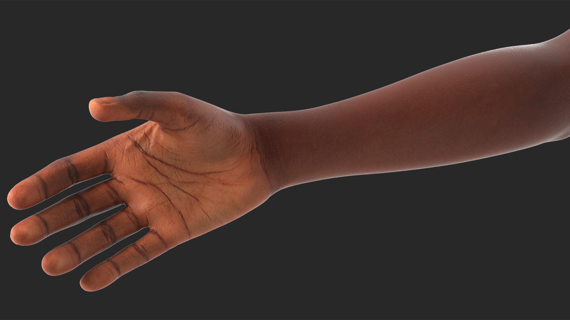 3D Model Skin And Full Anatomy Of The Afro Female Arm - TurboSquid 2382822