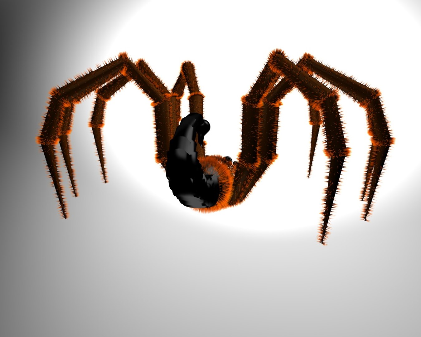 obj spider scorpion