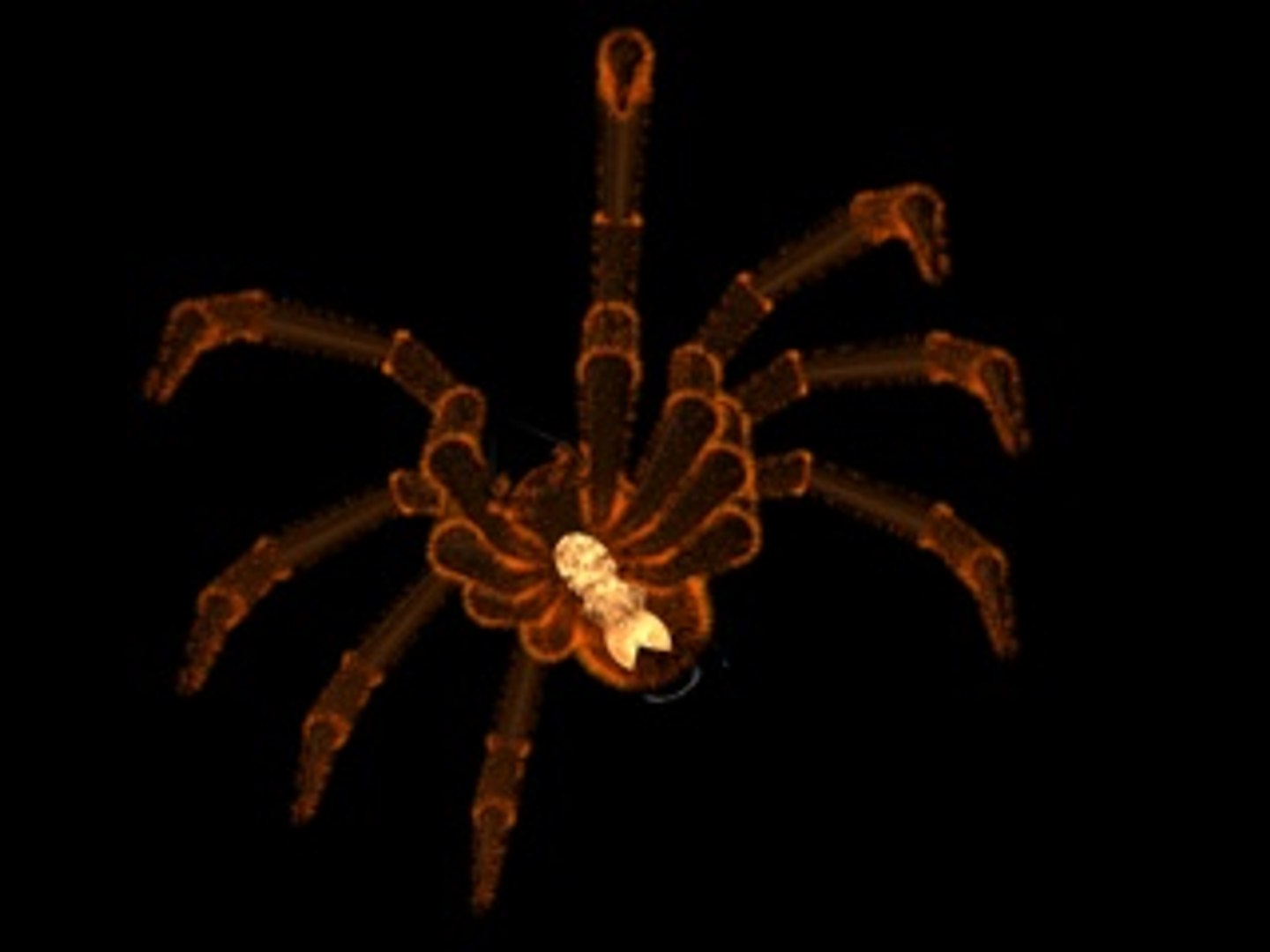 obj spider scorpion