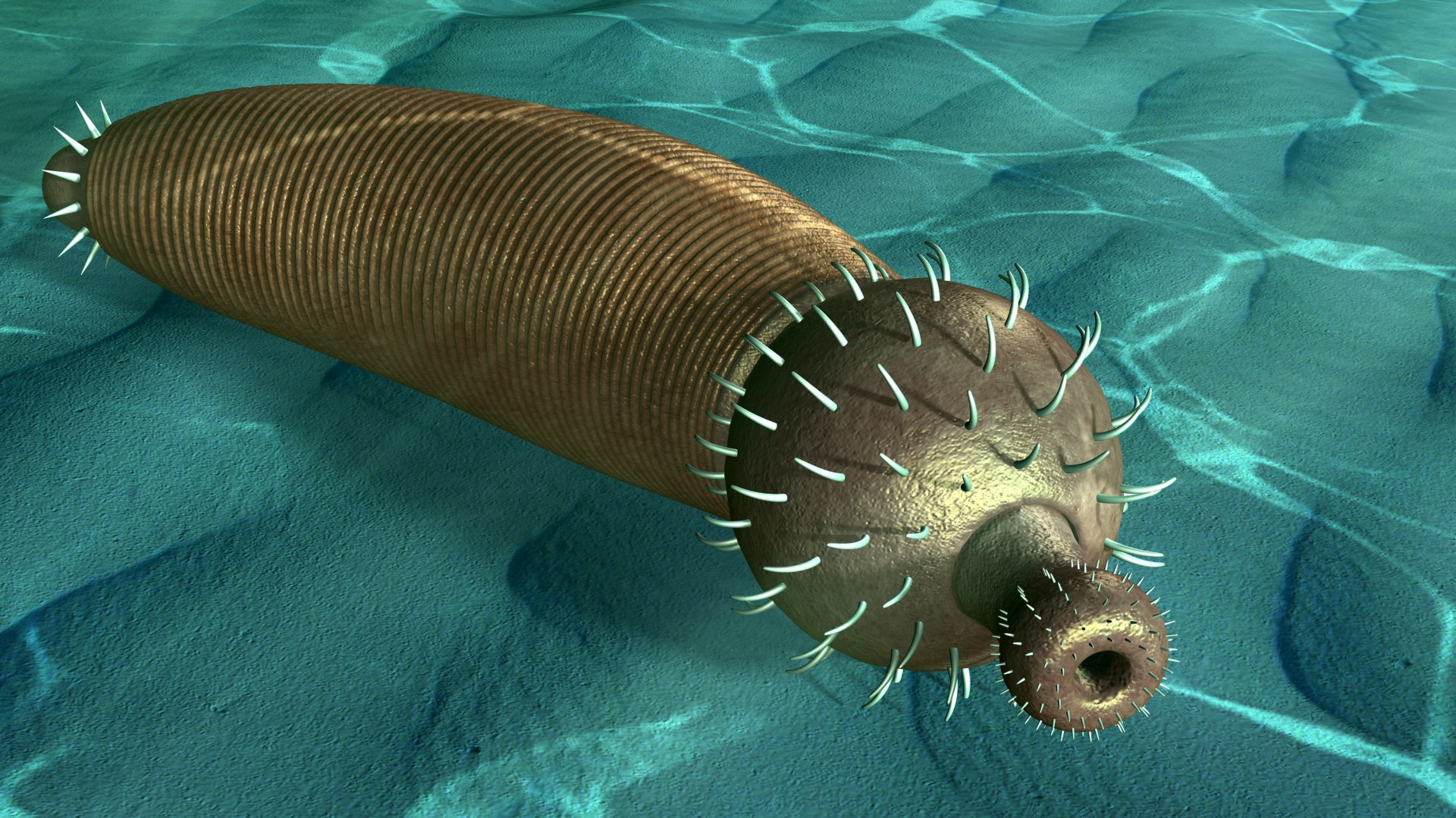 Ottoia Prolifica 3D Model - TurboSquid 1562591