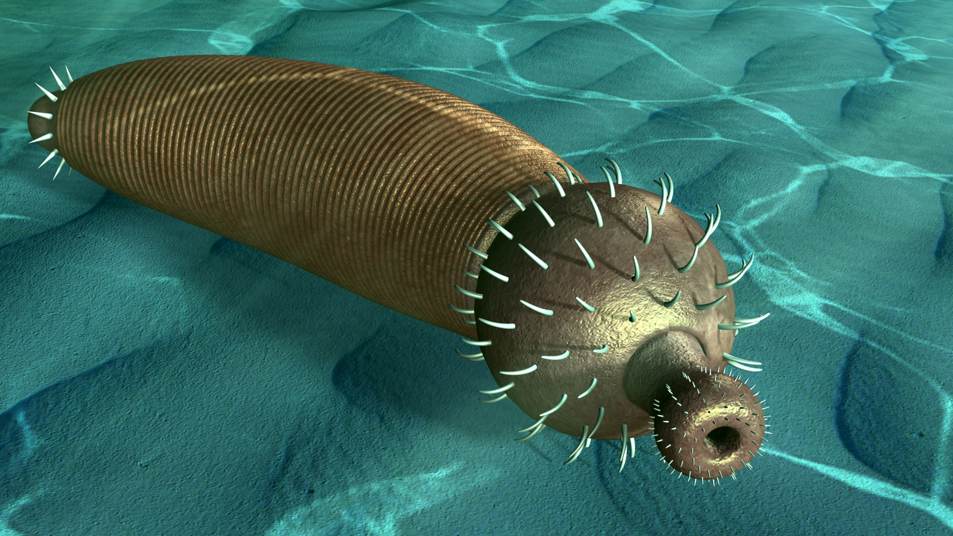 オットイア多産3Dモデル - TurboSquid 1562591