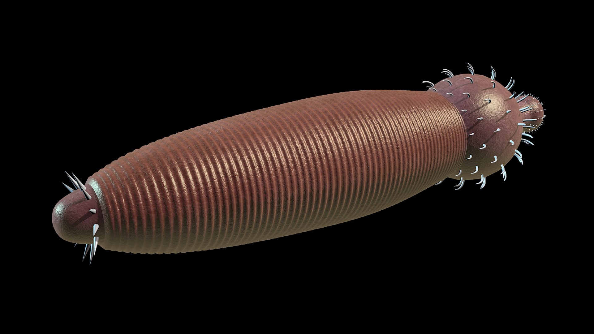 Ottoia Prolifica 3D Model - TurboSquid 1562591