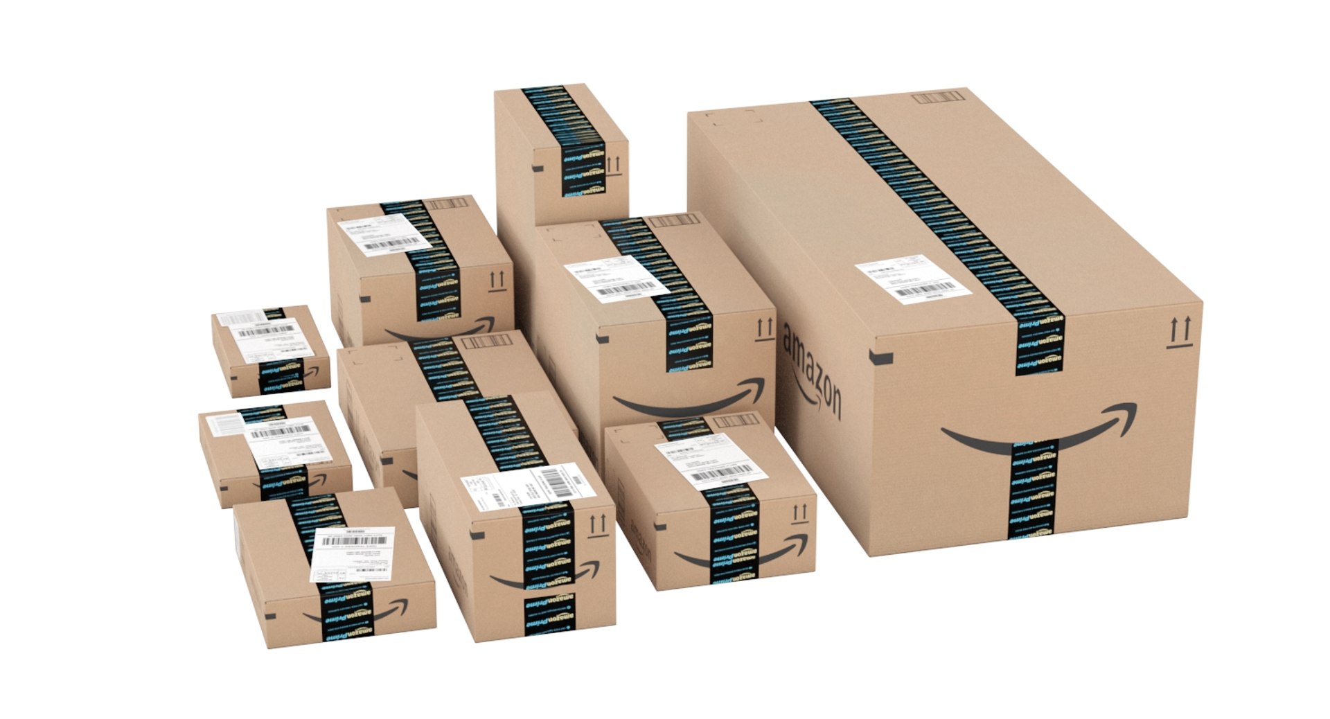 Amazon Contains 3D Model - TurboSquid 1416968