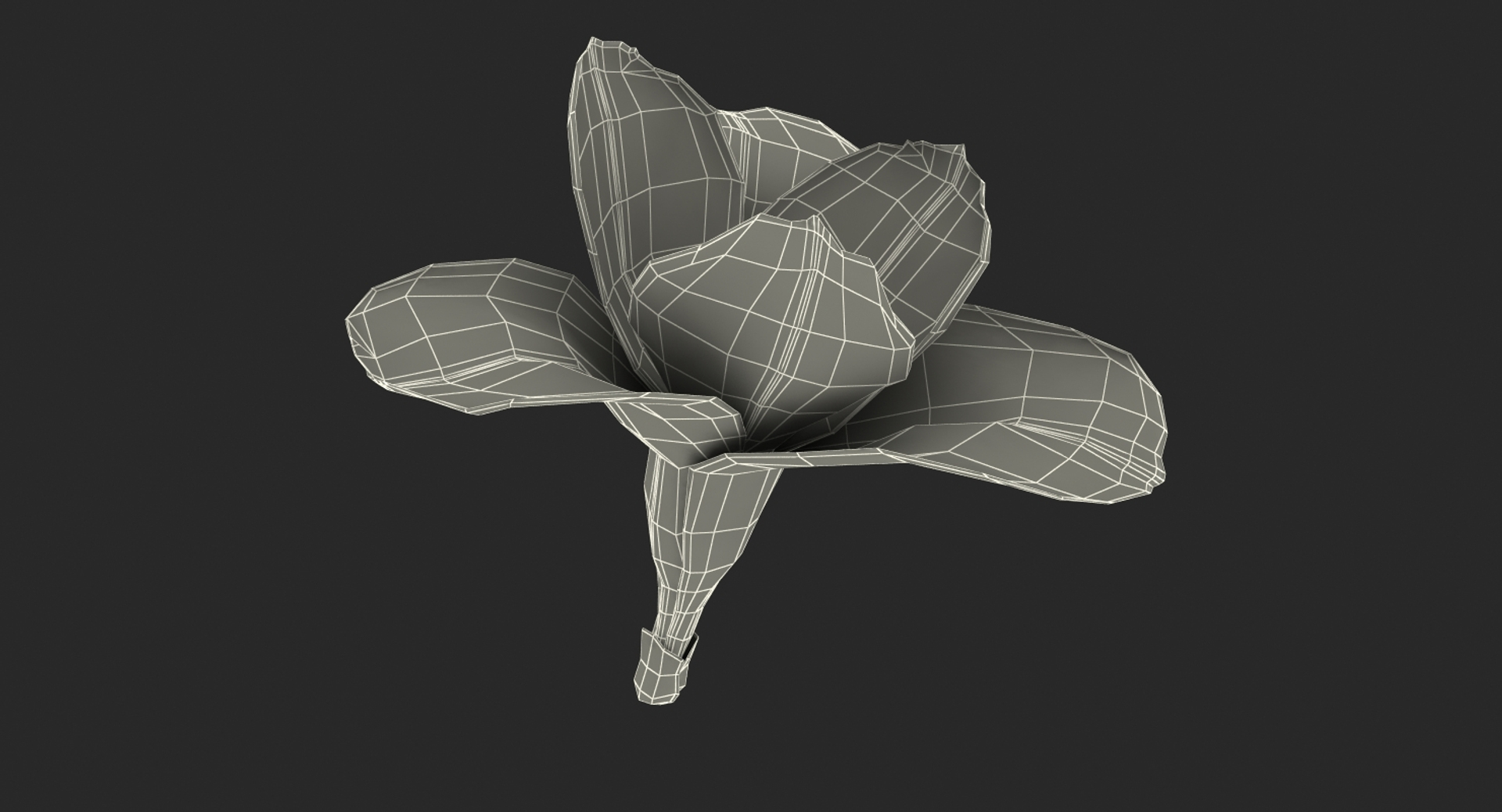 3D Freesia Flower Model - TurboSquid 1255552