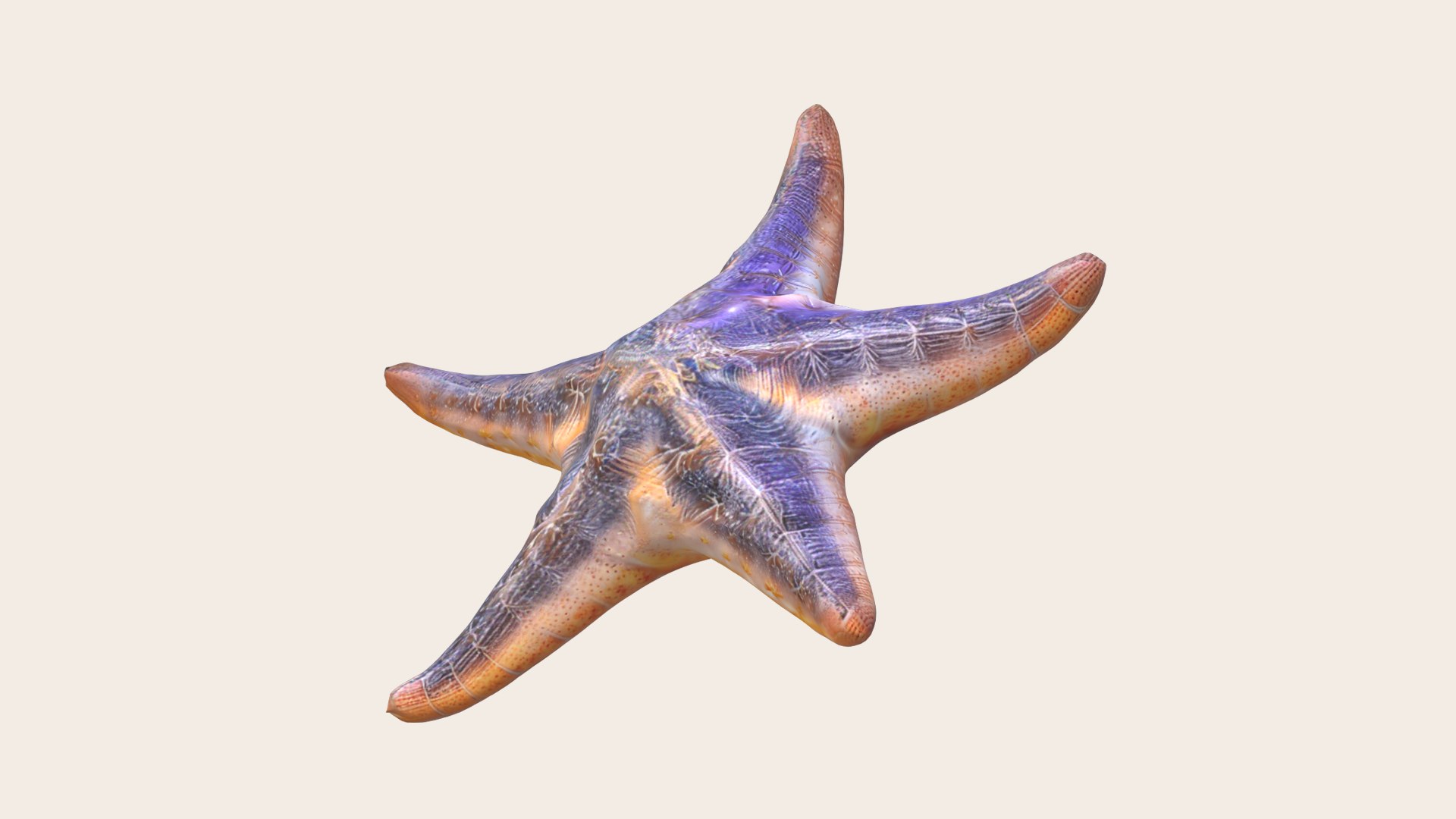 3D Starfish Sea Star - TurboSquid 2198874