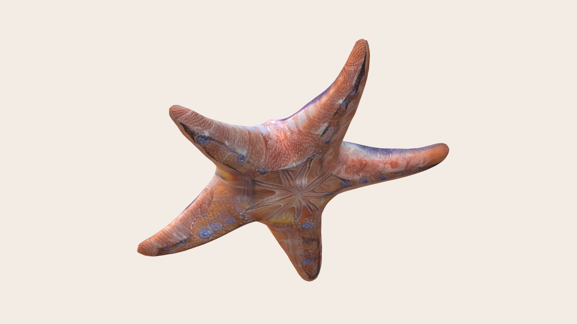 3D Starfish Sea Star - TurboSquid 2198874