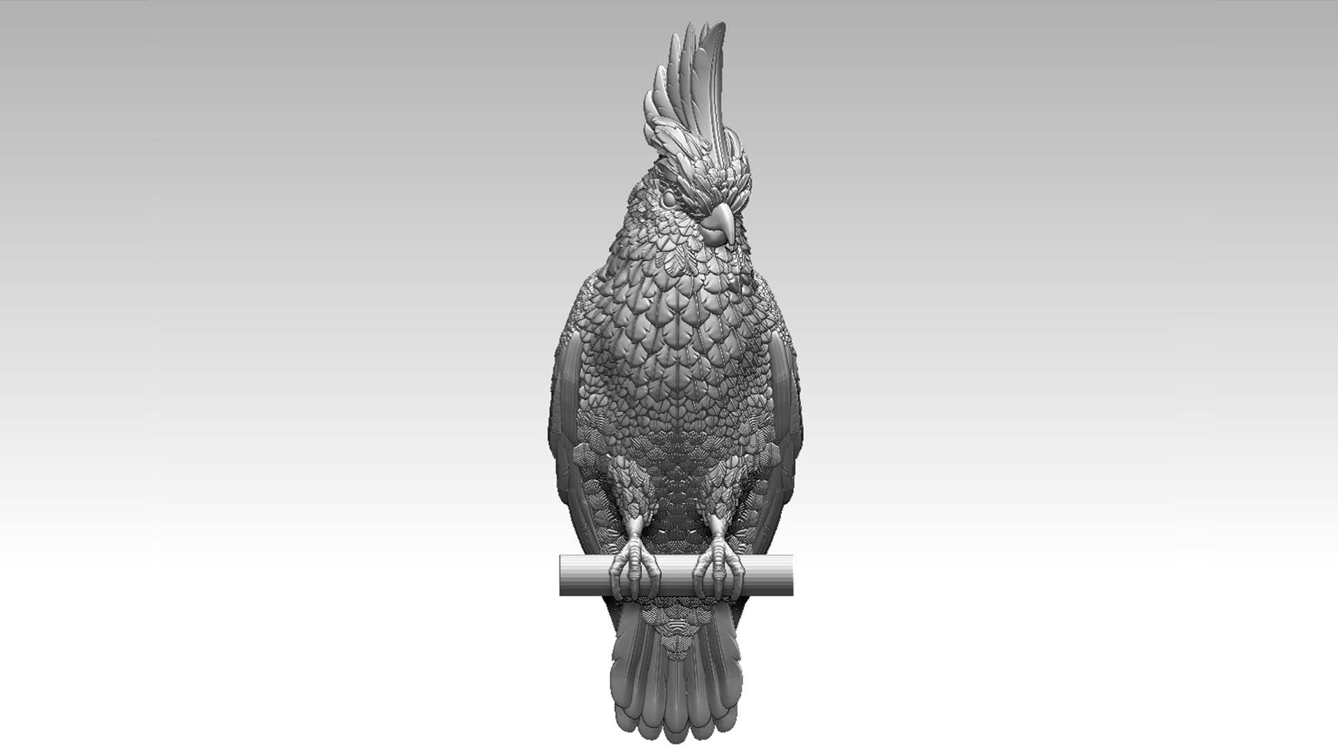 Parrot 3D Model - TurboSquid 2120352
