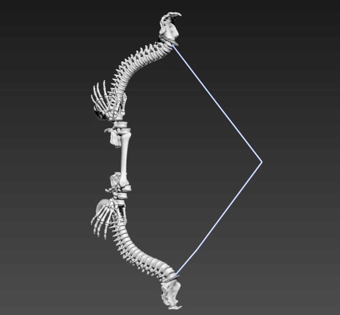 Bow Ancient Bones 3d Max