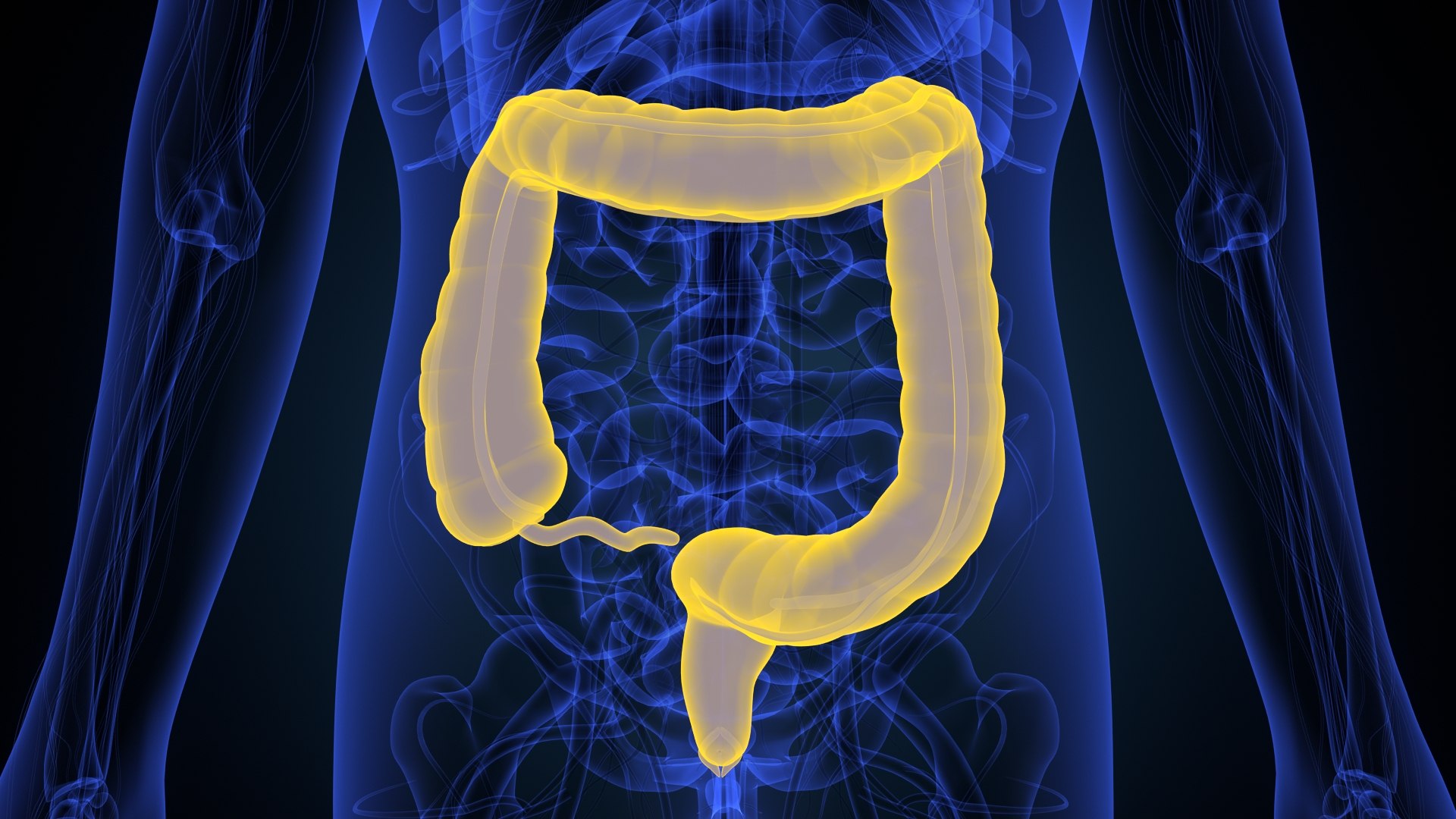 Blue Human Male Anatomy Systomy 3D Model - TurboSquid 1824121