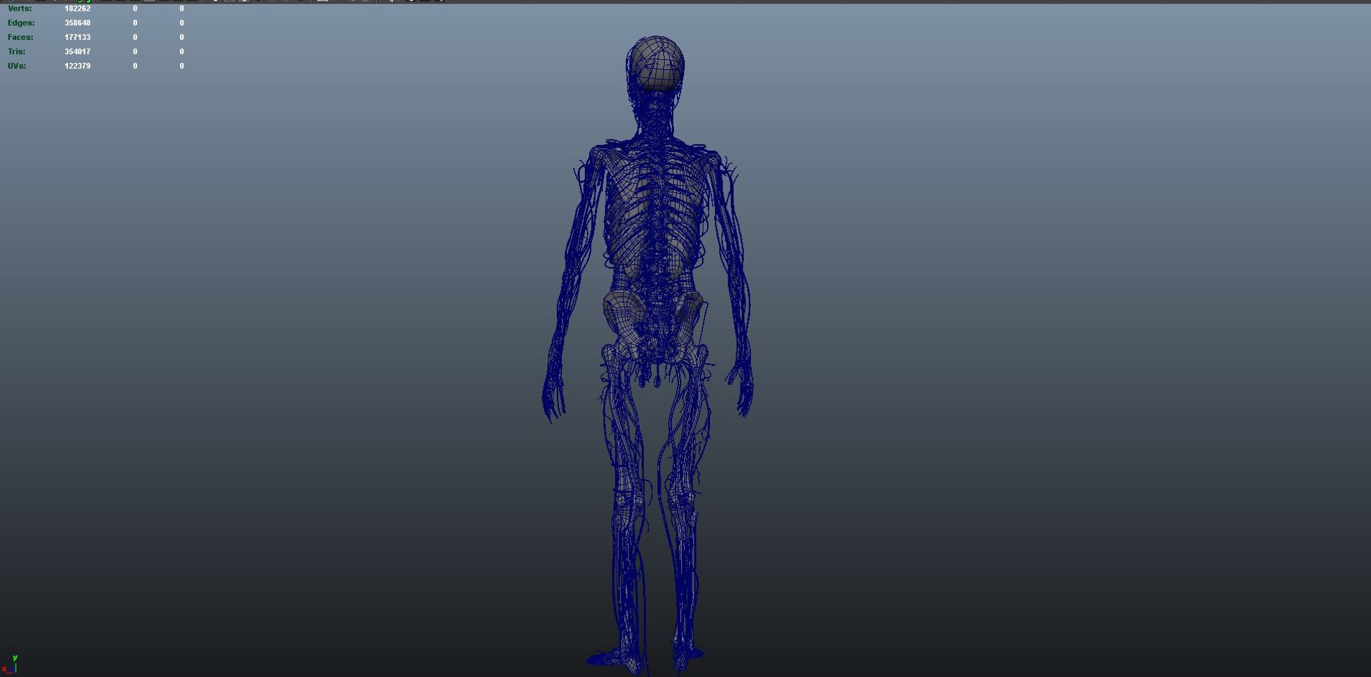 Blue human male anatomy systomy 3D model - TurboSquid 1824121