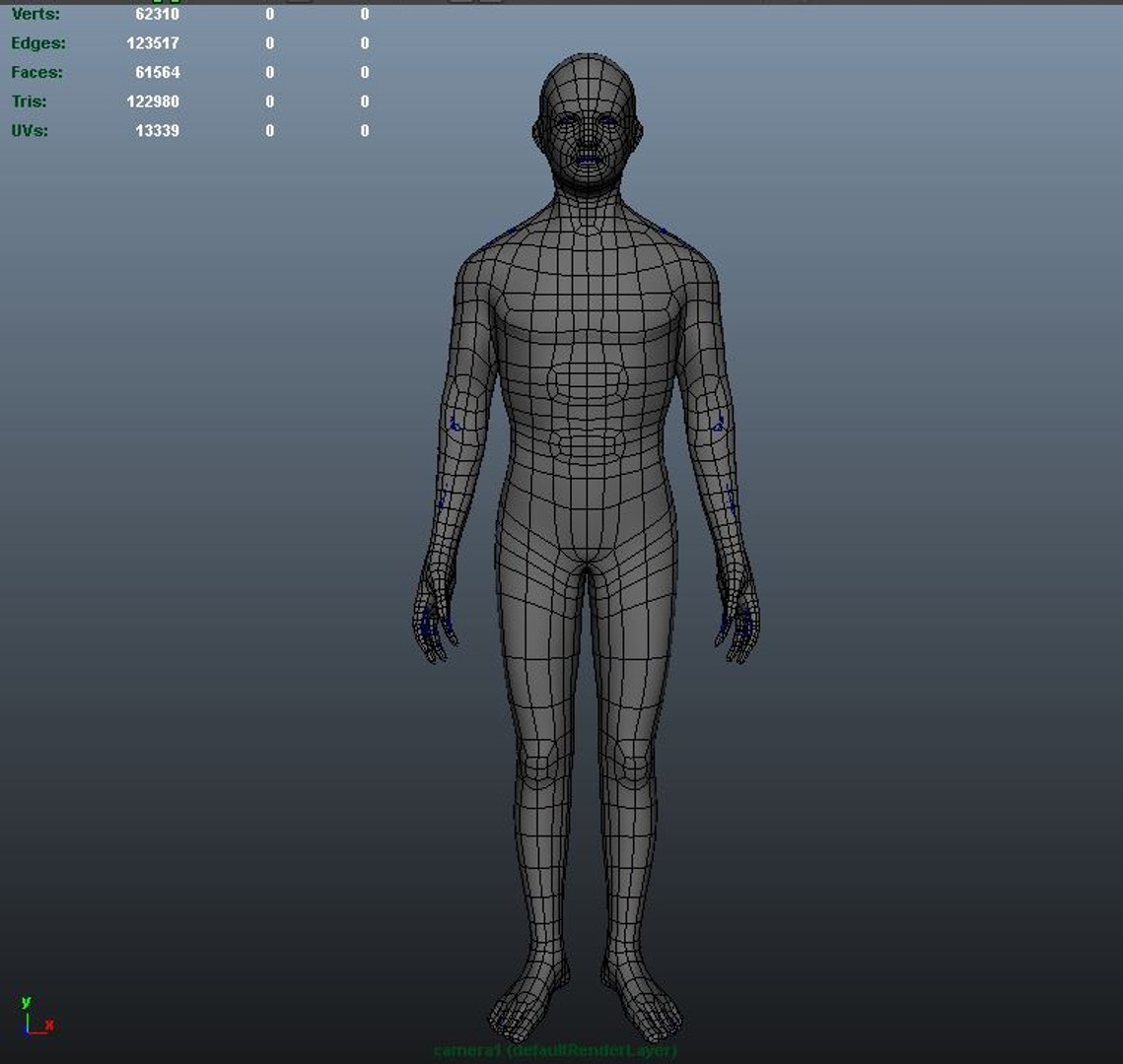 Blue human male anatomy systomy 3D model - TurboSquid 1824121