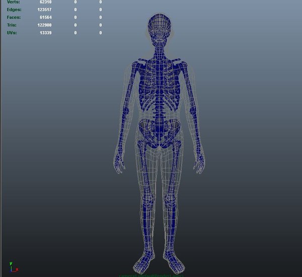 modelo 3d Sistomía de anatomía masculina humana azul - TurboSquid 1824121