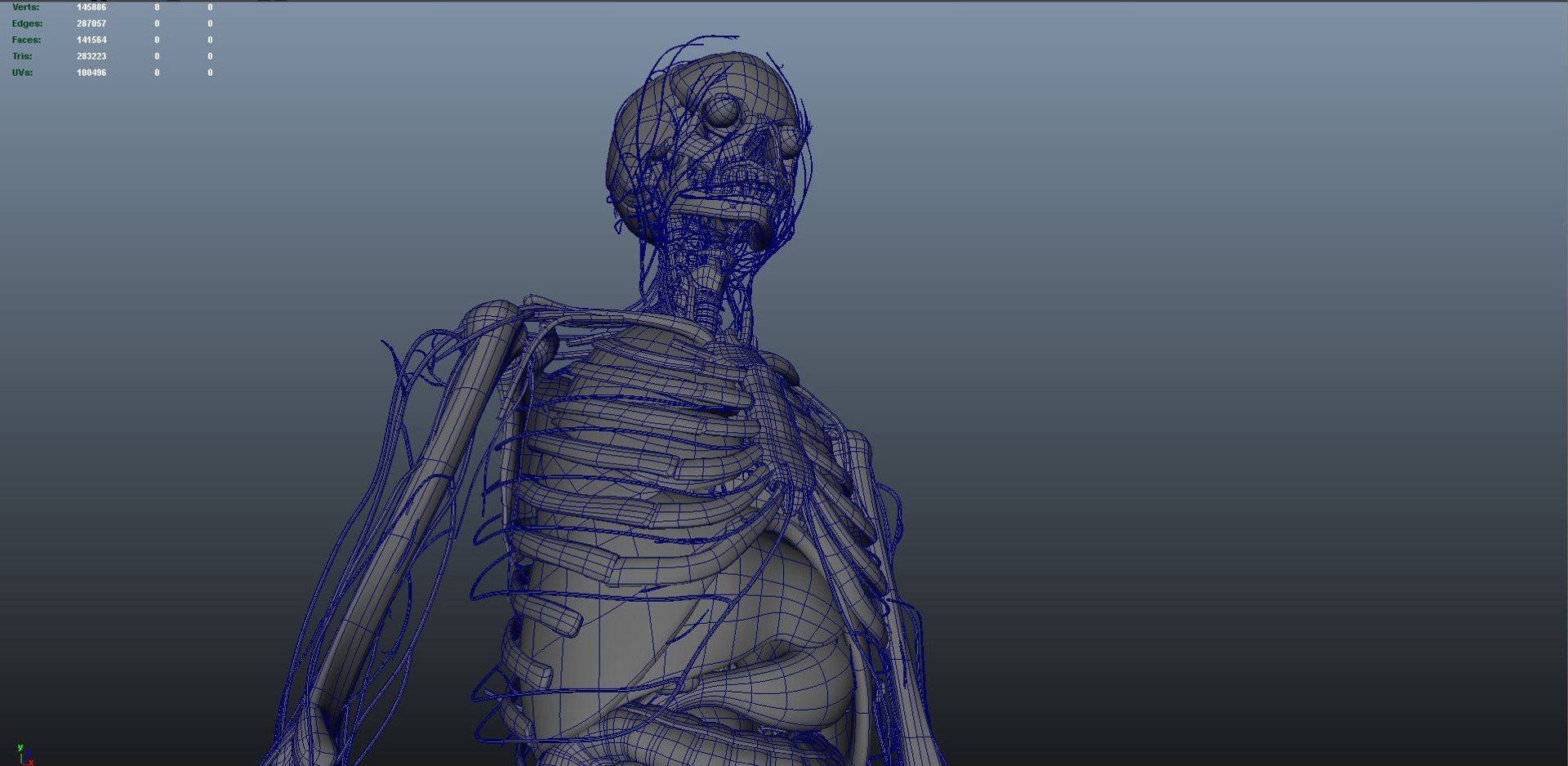 Blue human male anatomy systomy 3D model - TurboSquid 1824121