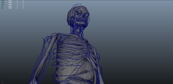 modelo 3d Sistomía de anatomía masculina humana azul - TurboSquid 1824121