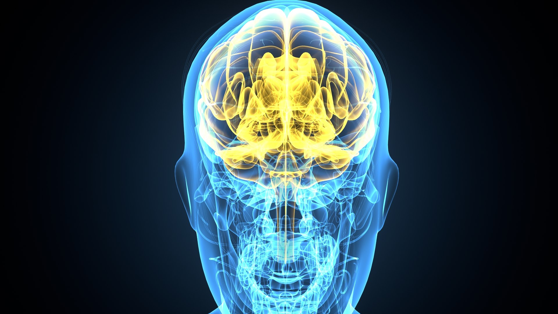 Blue Human Male Anatomy Systomy 3D Model - TurboSquid 1824121