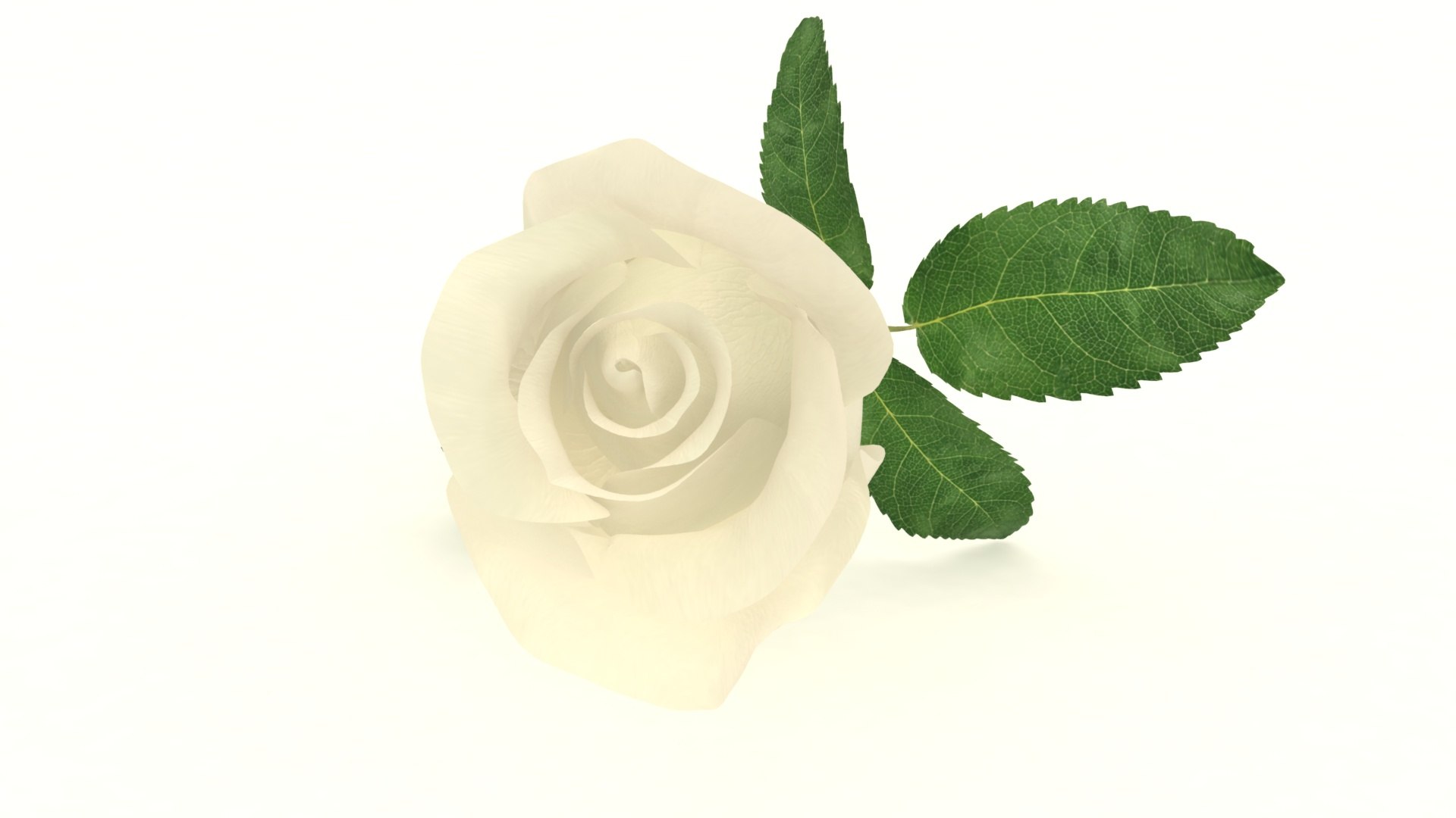 3D Roses Petal Model - TurboSquid 1293631