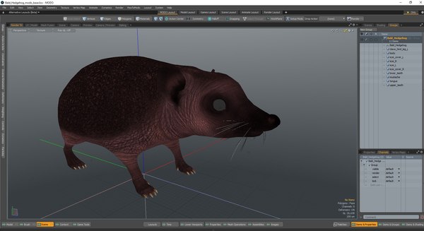 modelo 3d Erizo calvo - TurboSquid 2071142