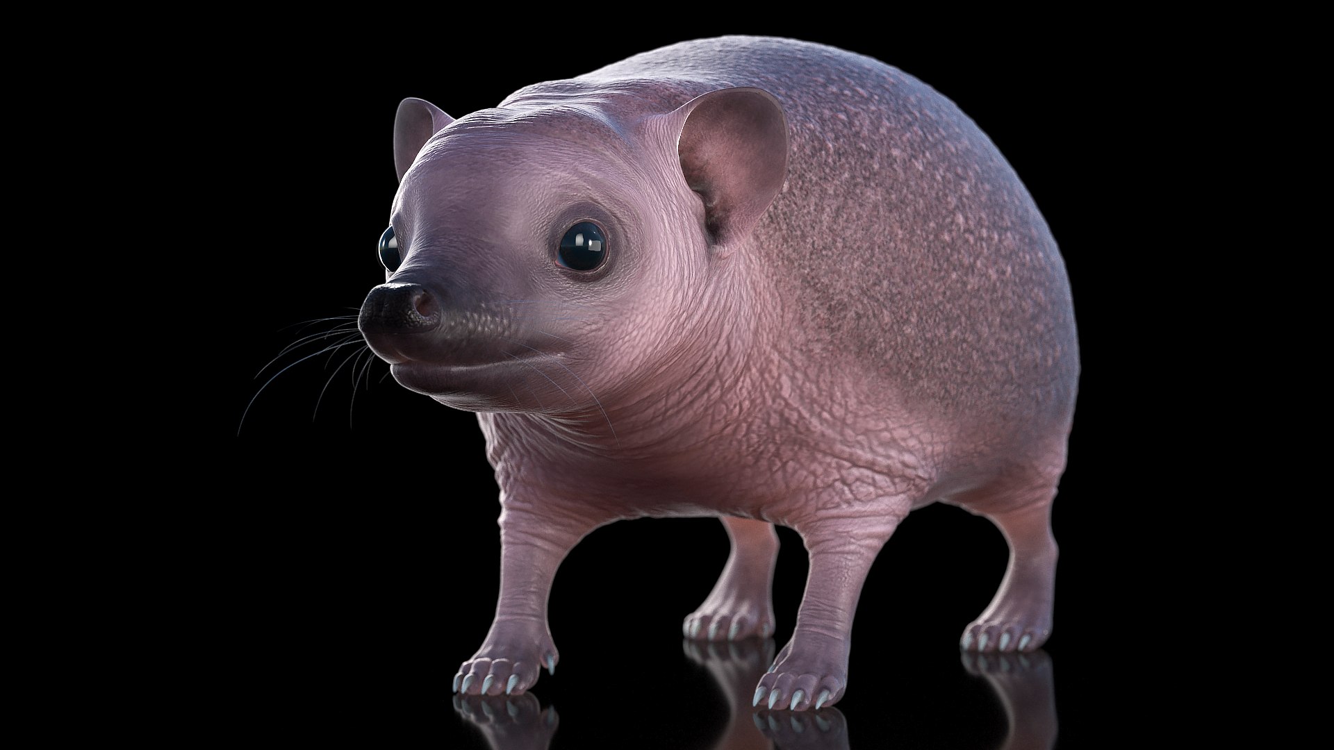 3D model Bald Hedgehog - TurboSquid 2071142