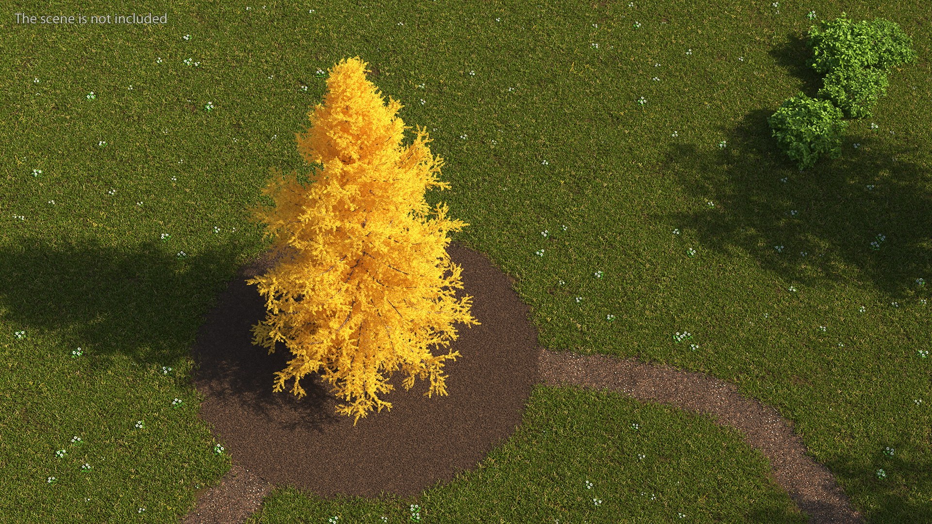 Japanese Larch Tree Yellow 3D model - TurboSquid 1859959