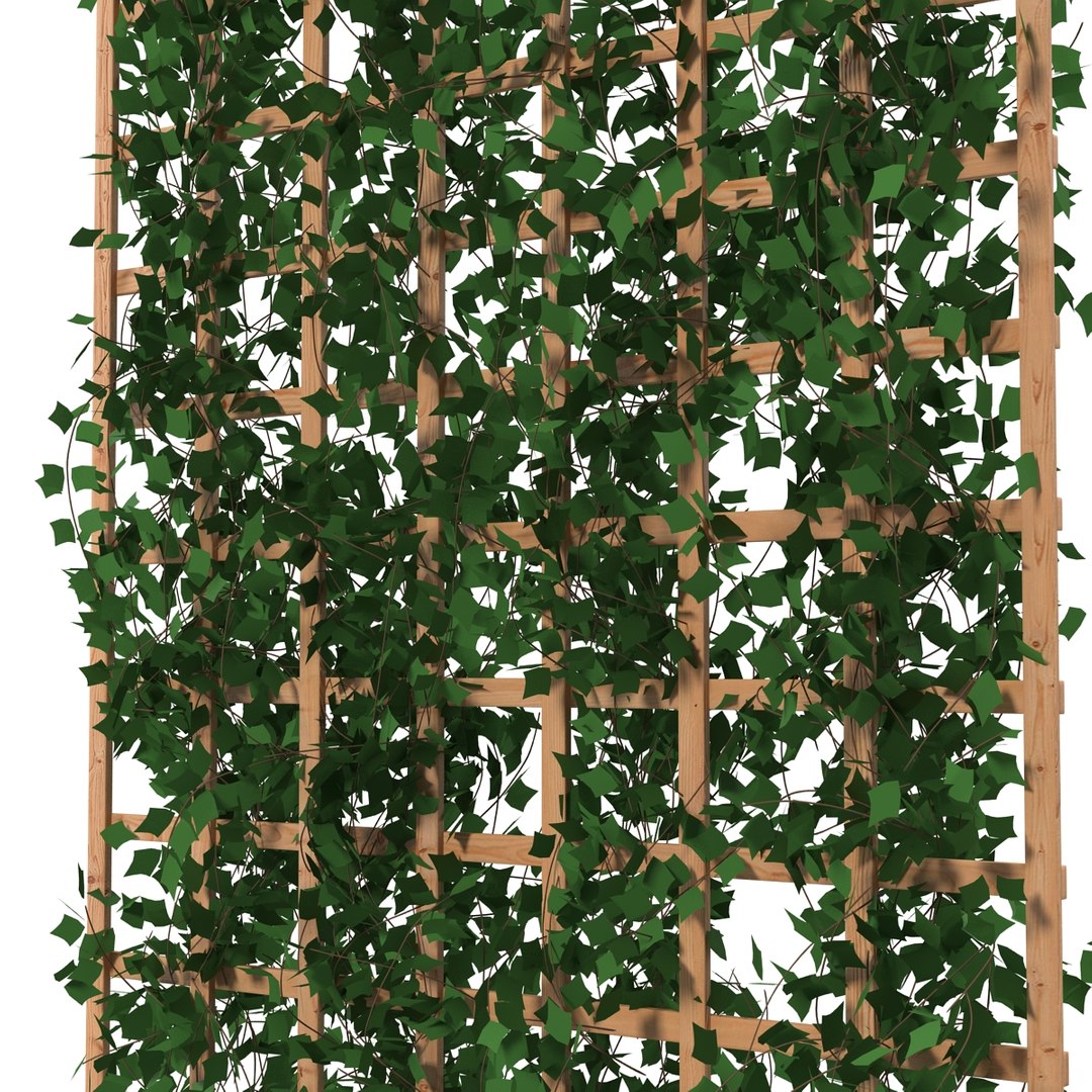 Trellis Panel 3d Max