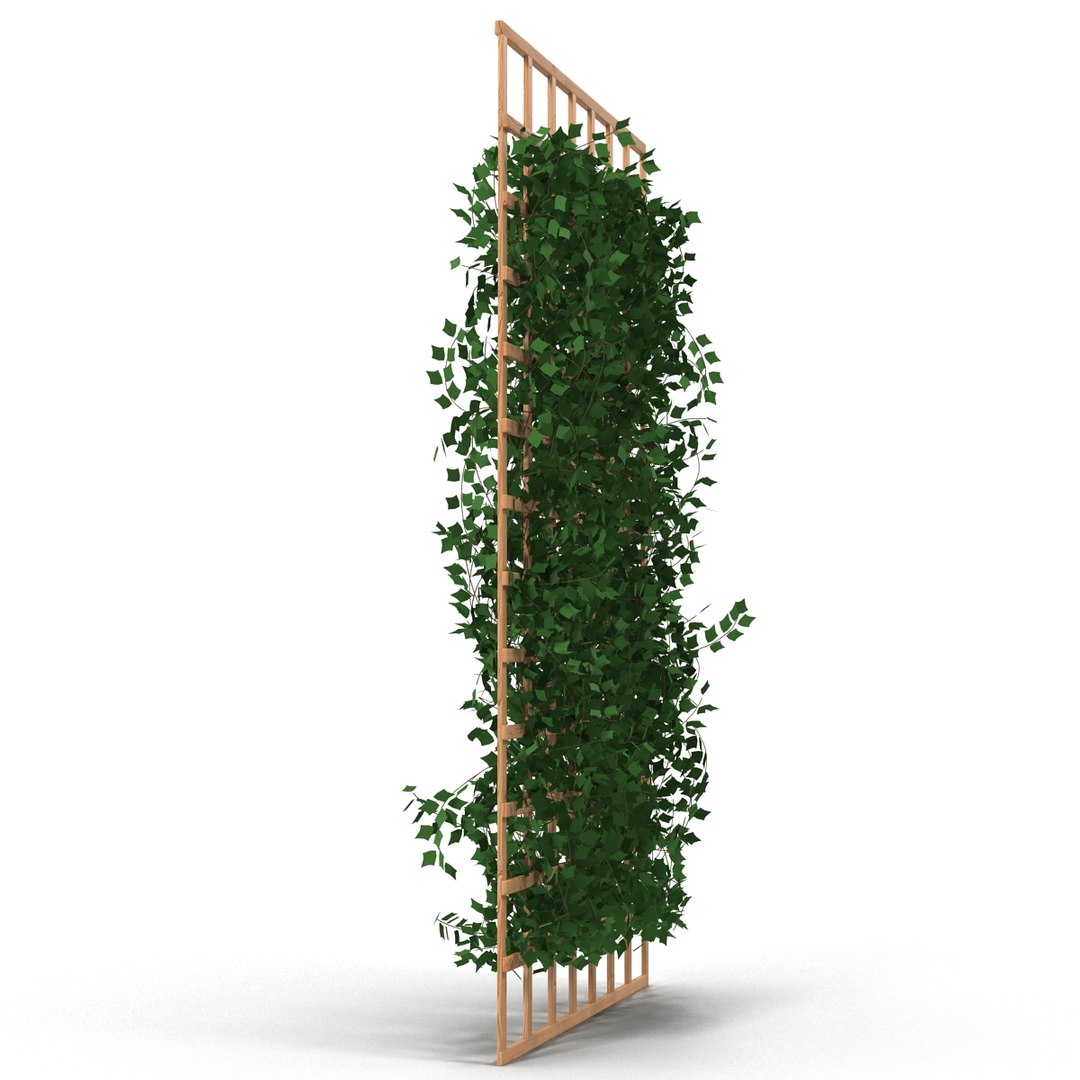 Trellis Panel 3d Max