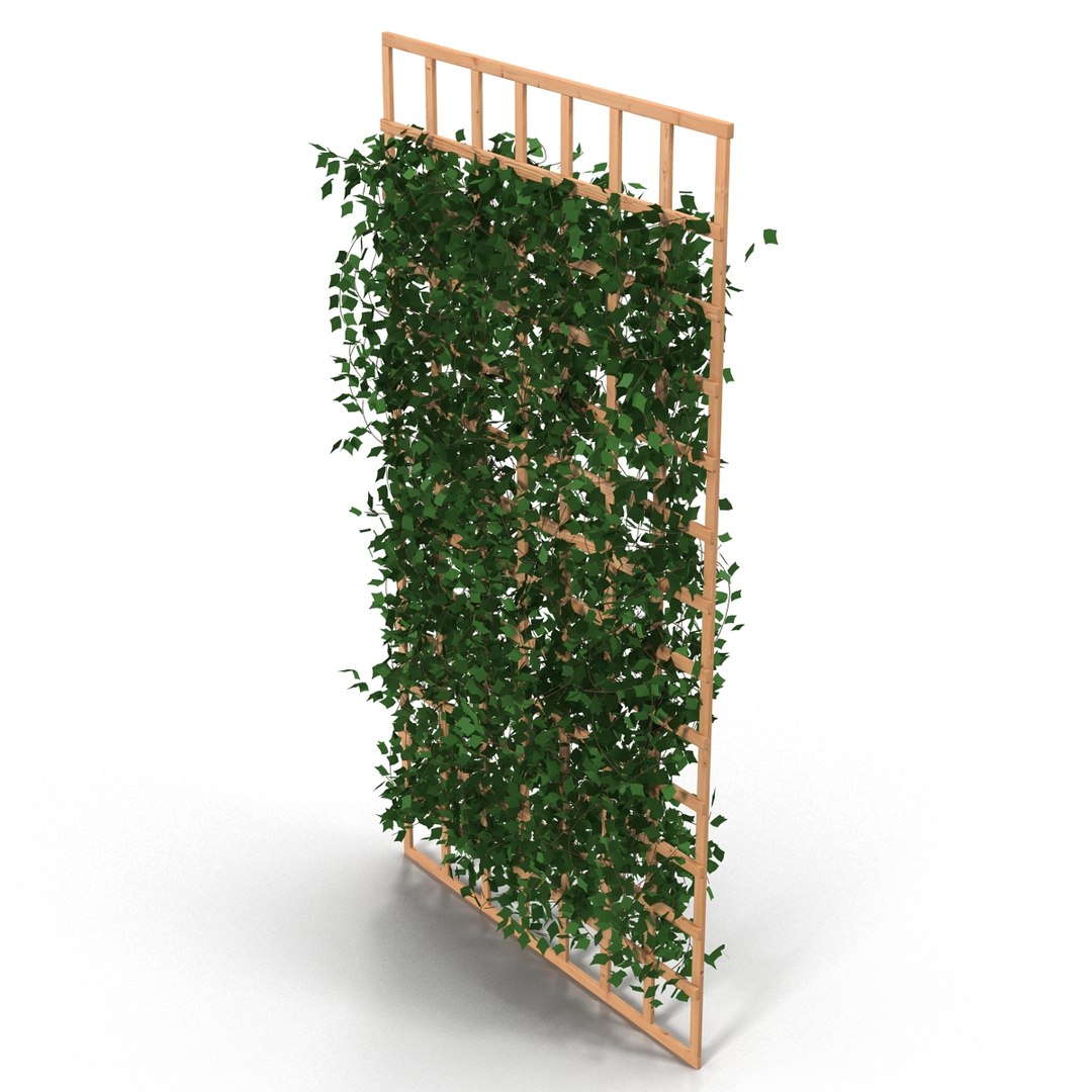 Trellis Panel 3d Max