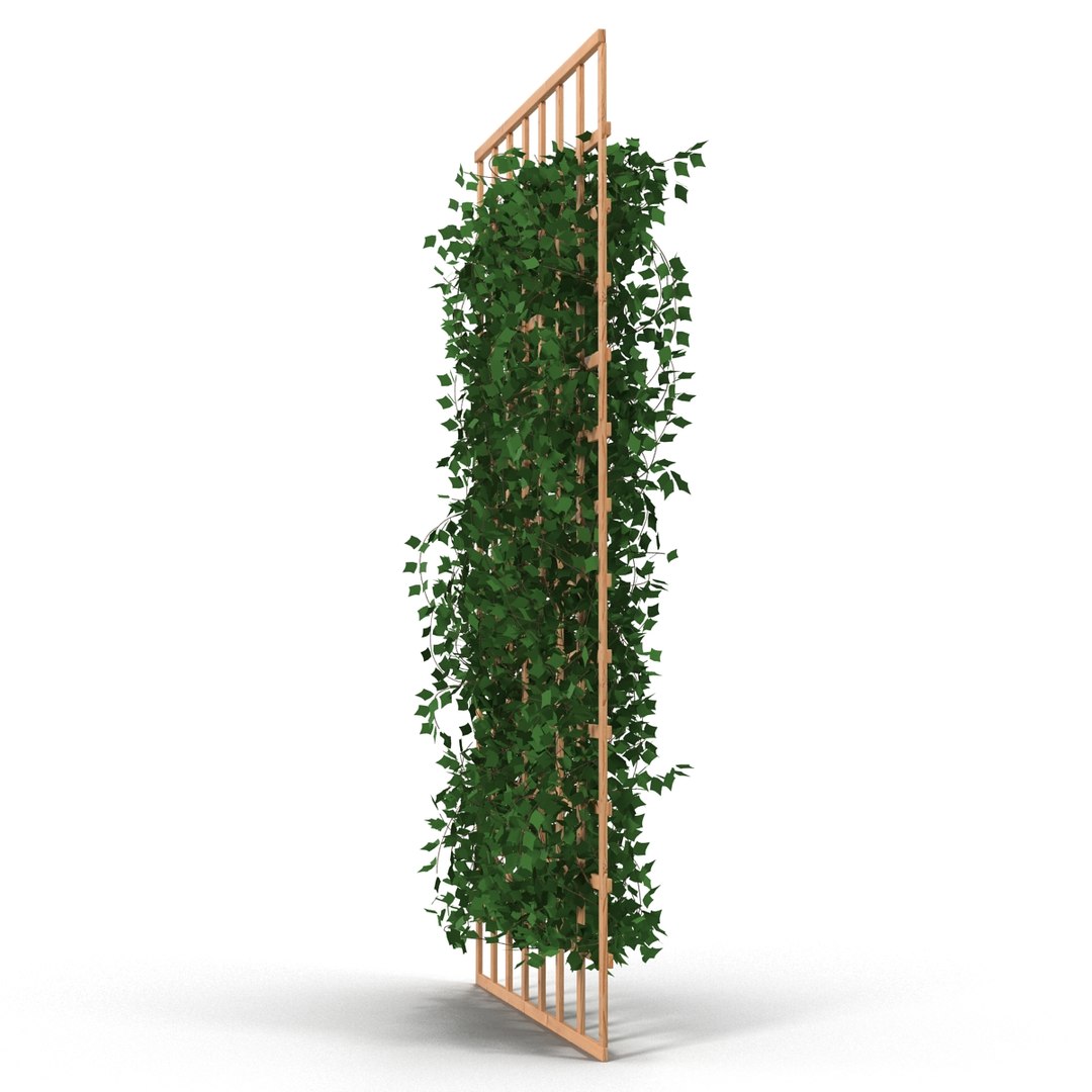 Trellis Panel 3d Max