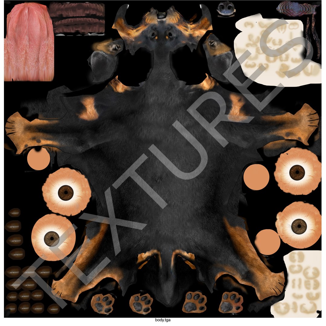 3d Rottweiler Pose 3 Model