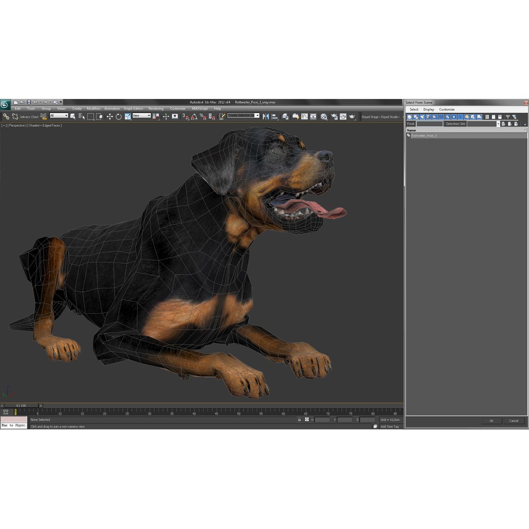 3d Rottweiler Pose 3 Model