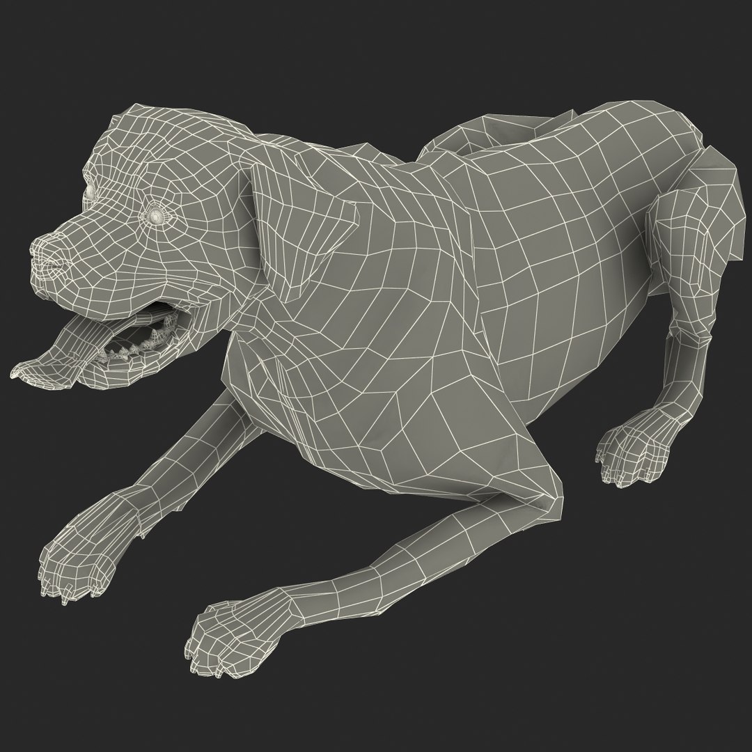 3d Rottweiler Pose 3 Model