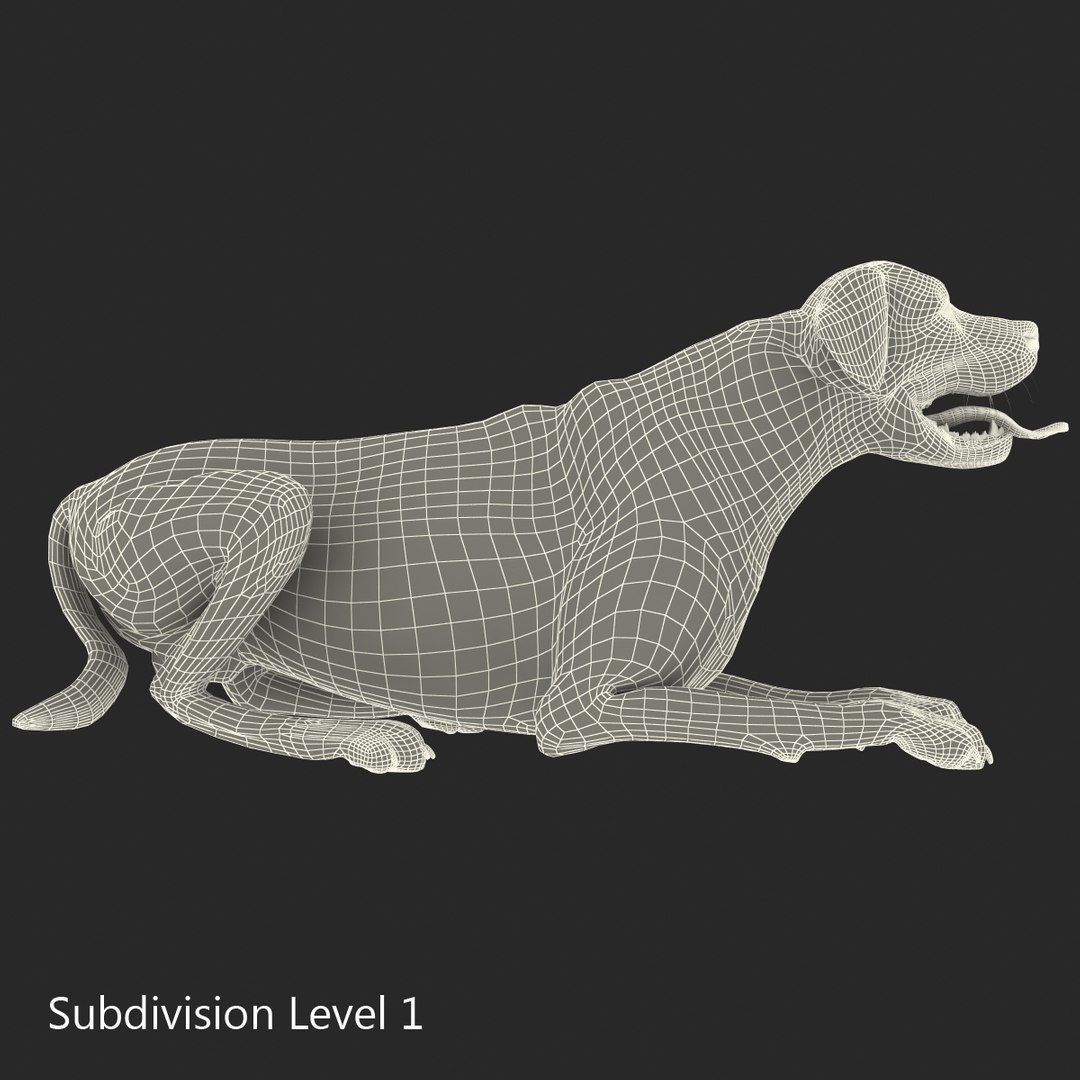 3d Rottweiler Pose 3 Model