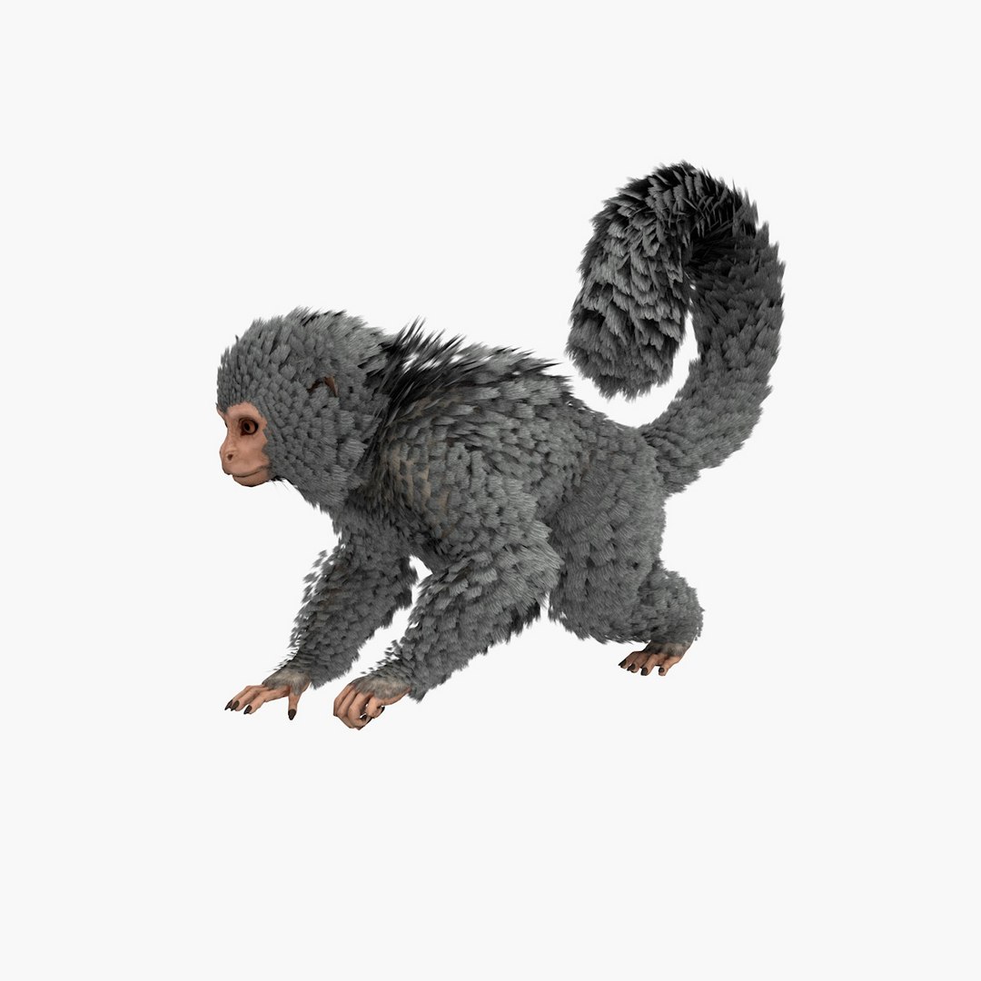 3D Monkey model - TurboSquid 1840816