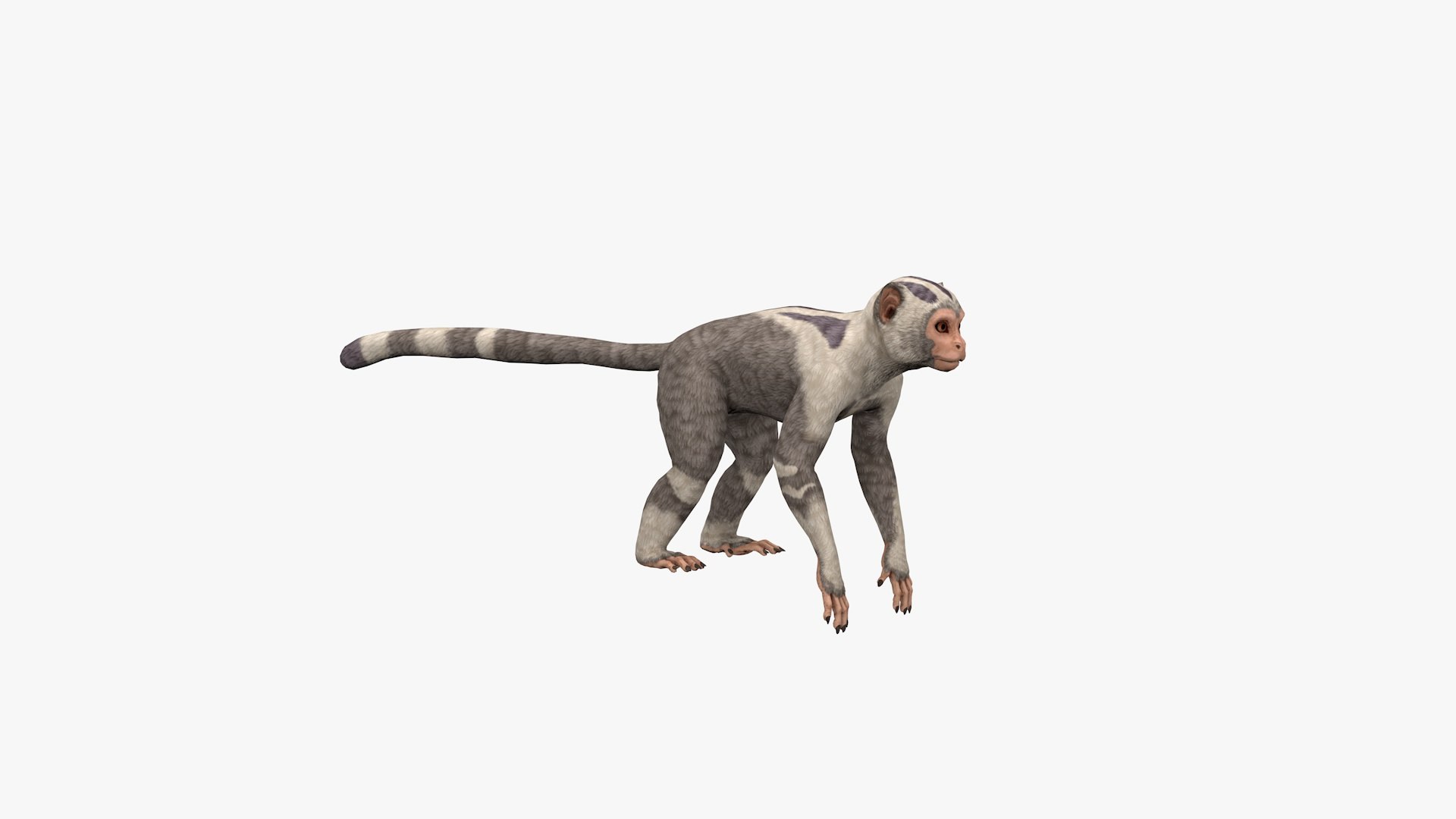 3D Monkey model - TurboSquid 1840816