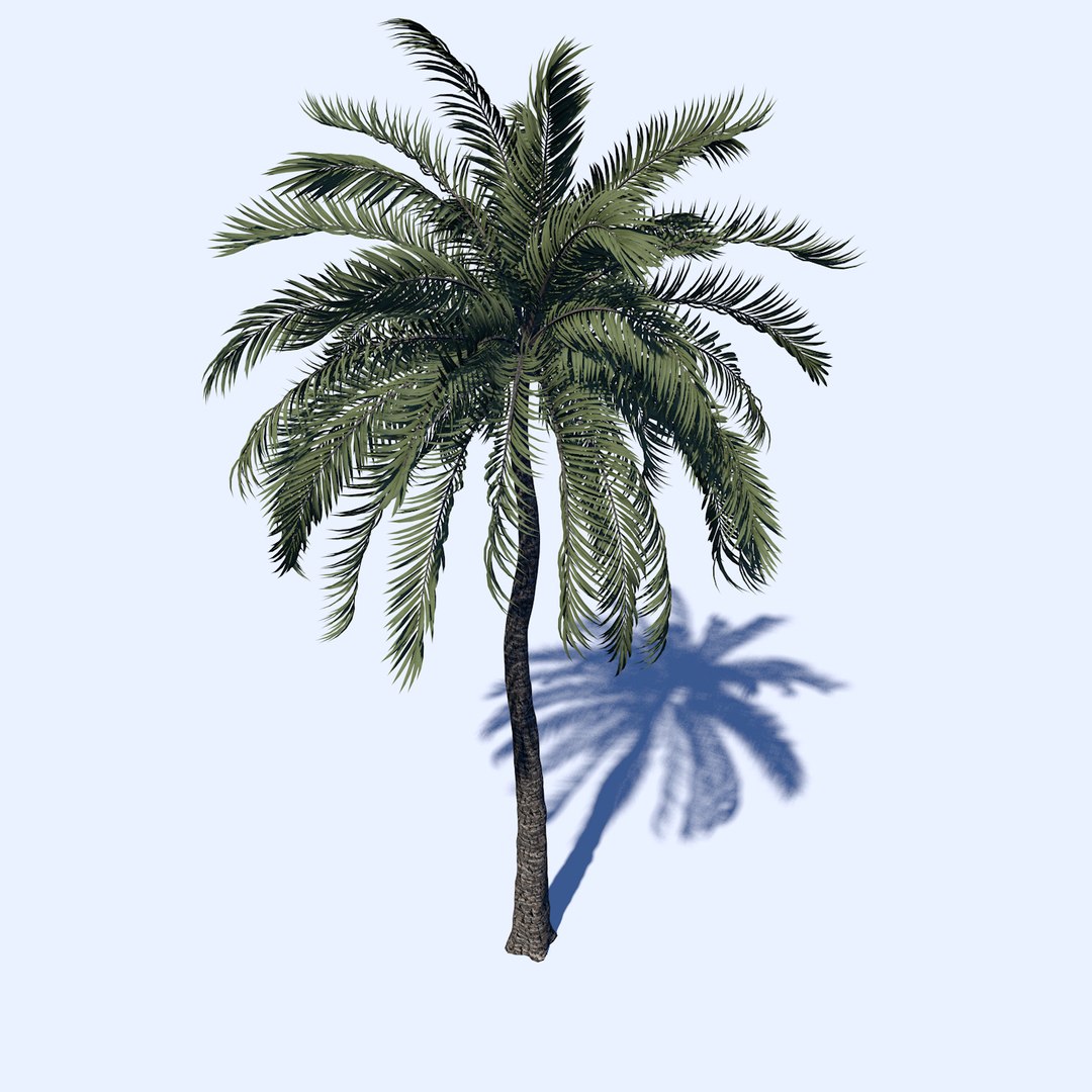 3D Model Tropical Tree - TurboSquid 1306864