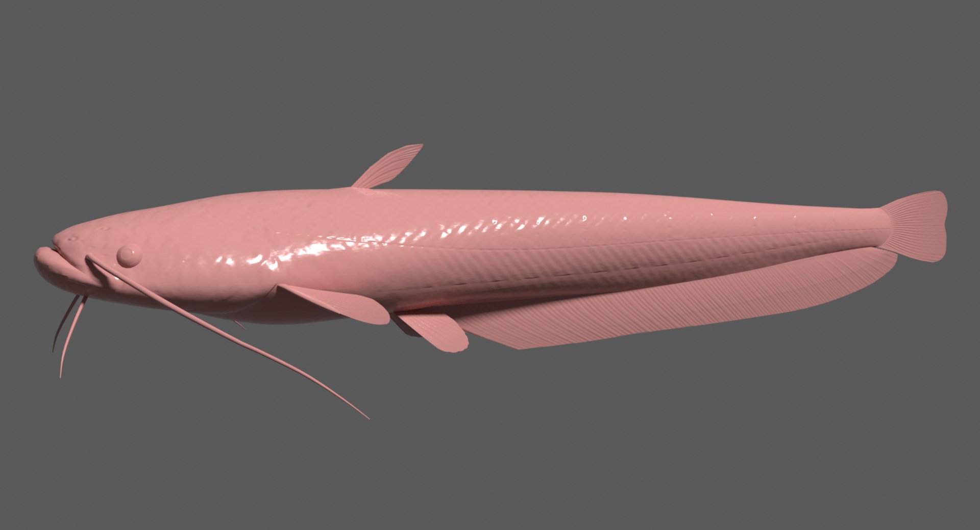 Fish Namazu 3d Model