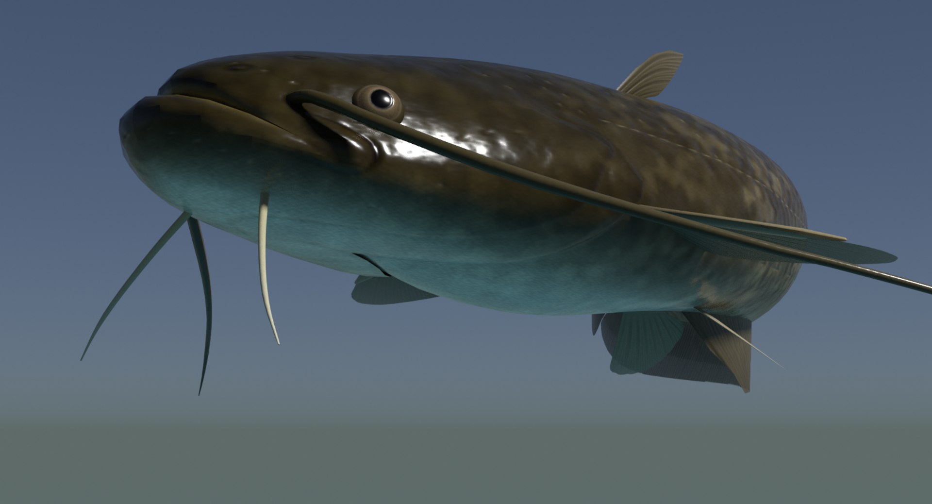 Fish Namazu 3d Model