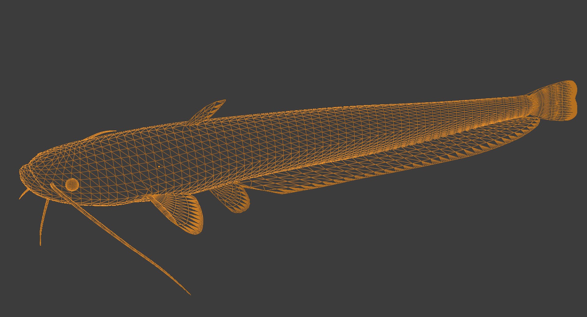 Fish Namazu 3d Model