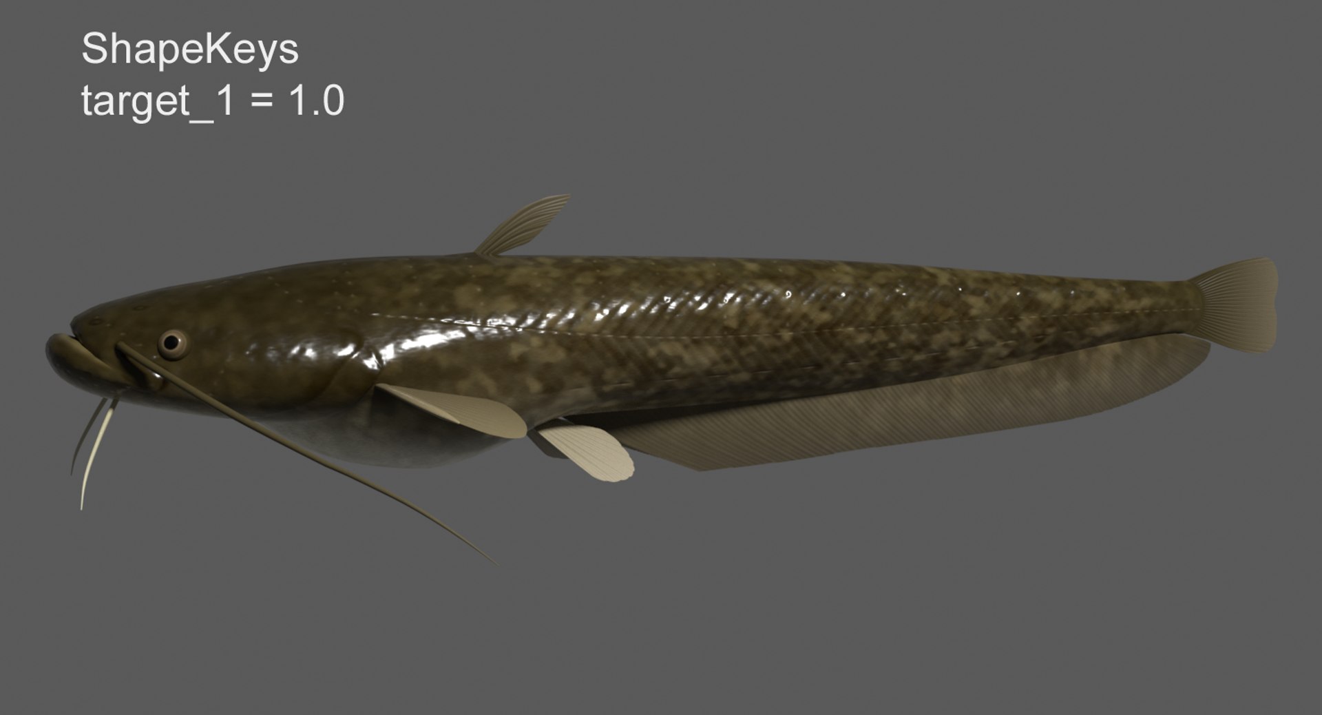 Fish Namazu 3d Model