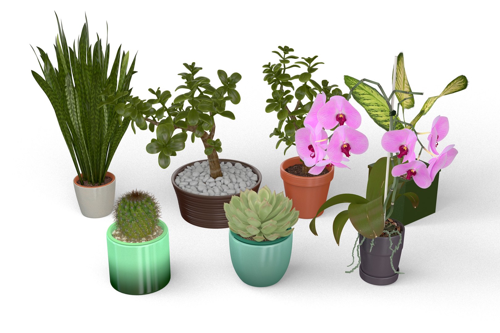 3D Model Pot Plants Collection - TurboSquid 2248733