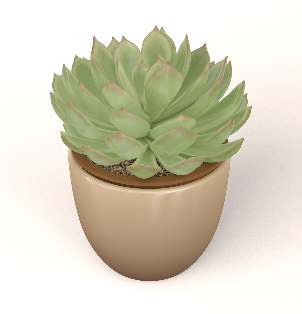 3D Model Pot Plants Collection - TurboSquid 2248733