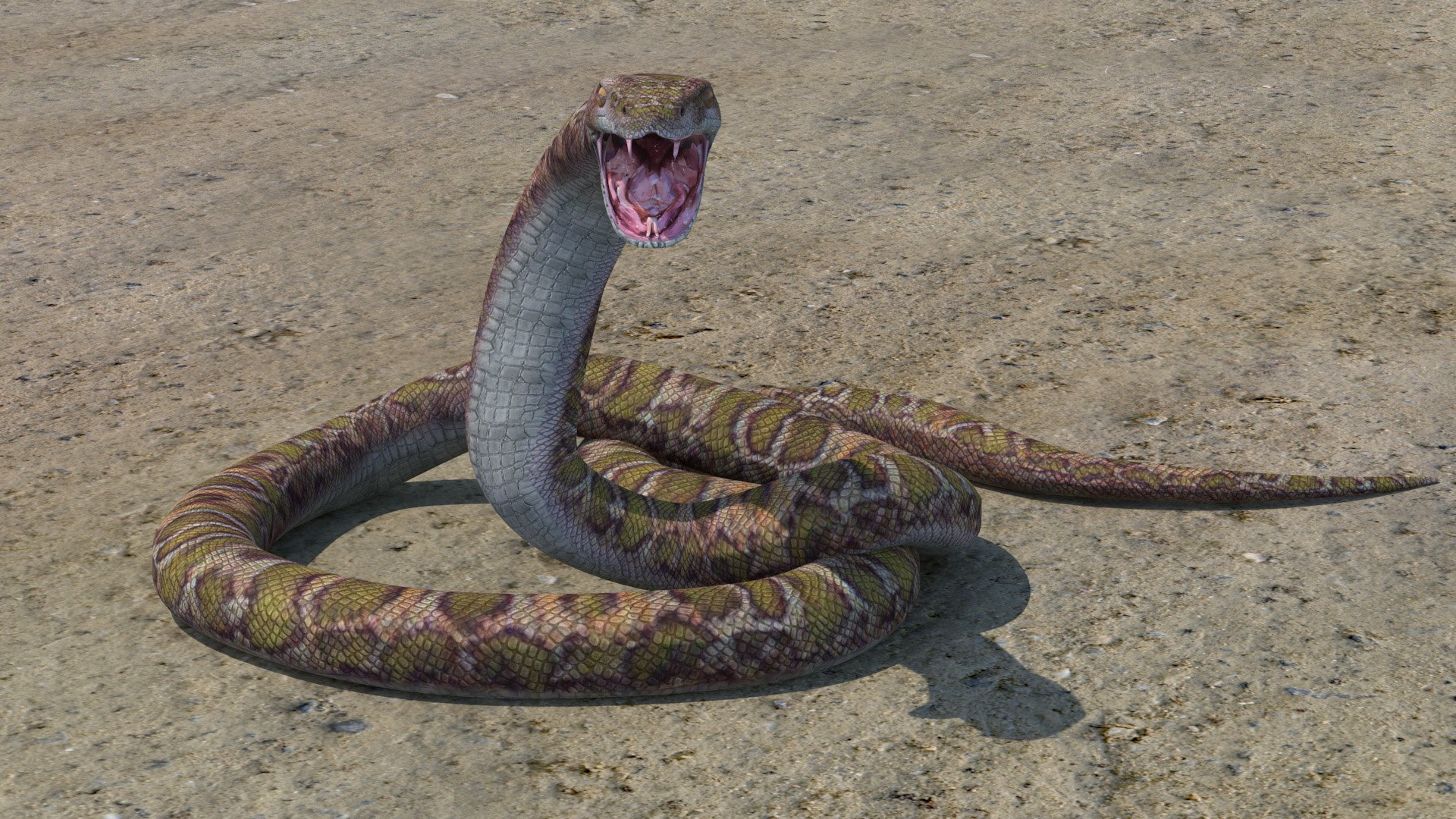 anacondas snakes 3d model