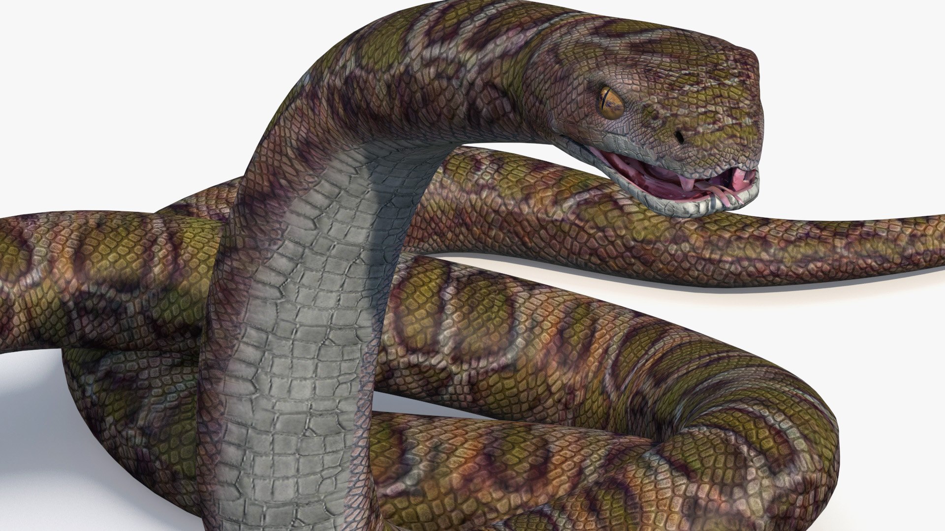 anacondas snakes 3d model