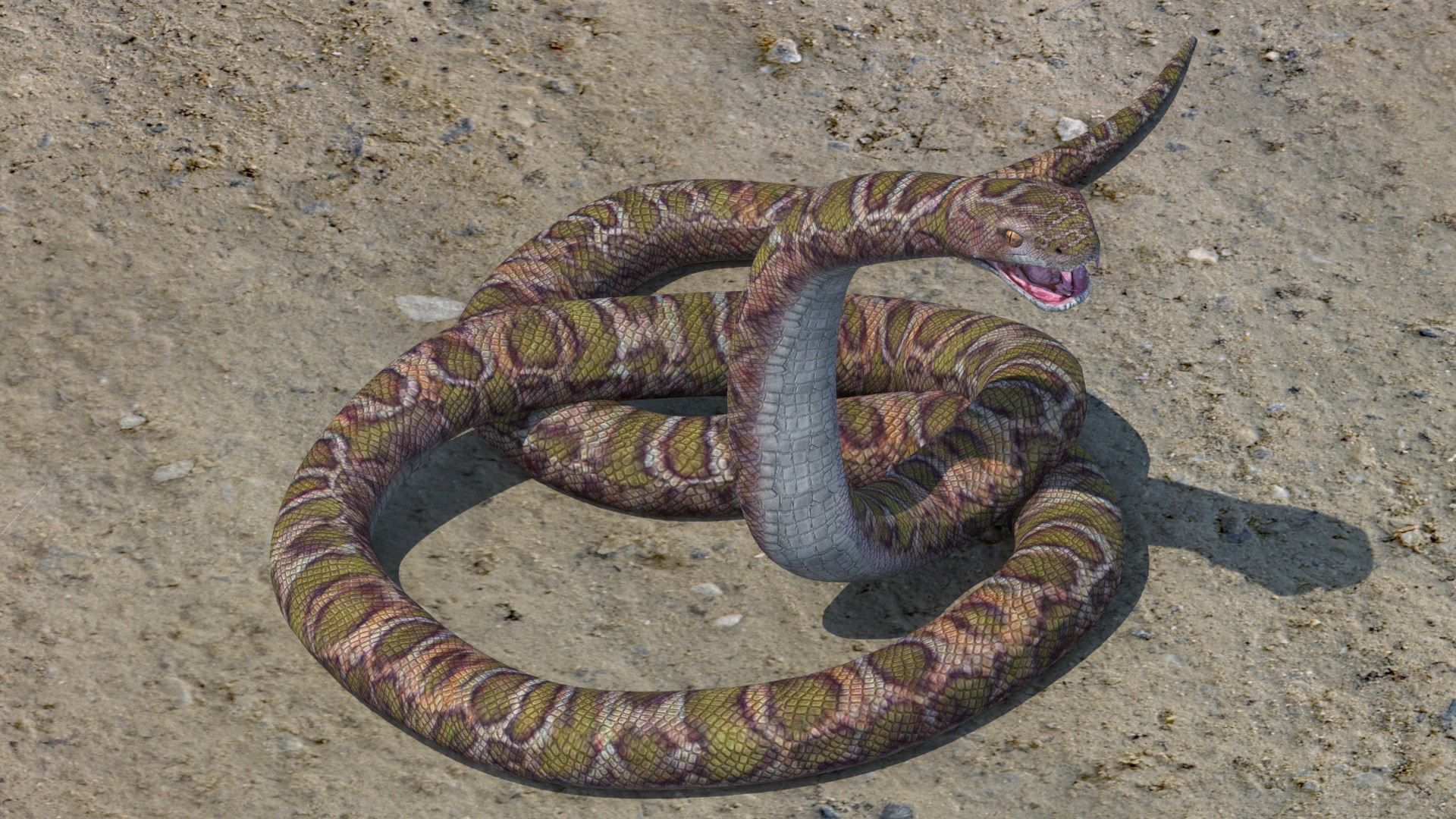 anacondas snakes 3d model