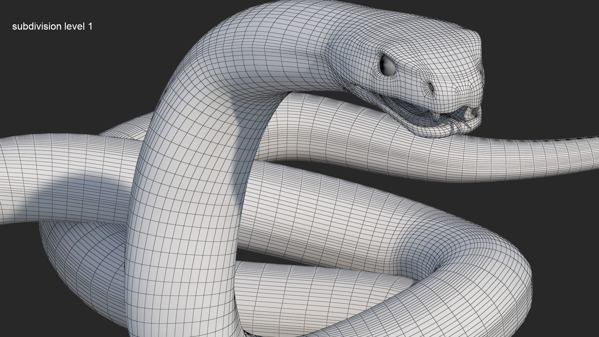 anacondas snakes 3d model