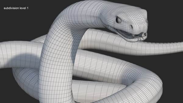 anacondas snakes 3d model